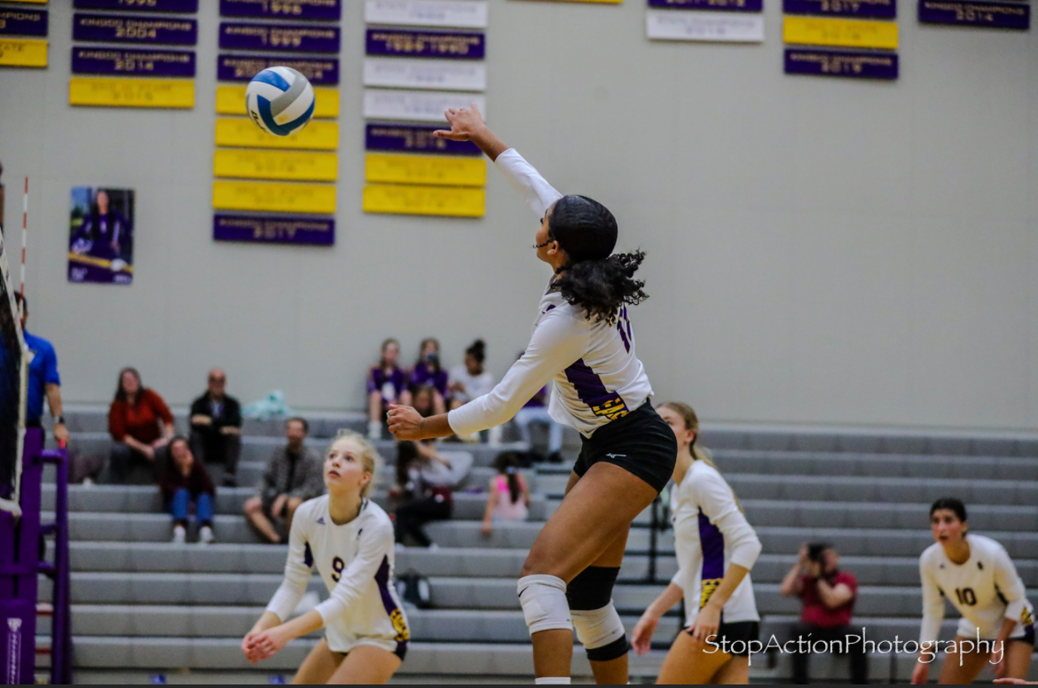 Rising Star: The Inspiring Journey of Ariana J Simms - Redefining ...